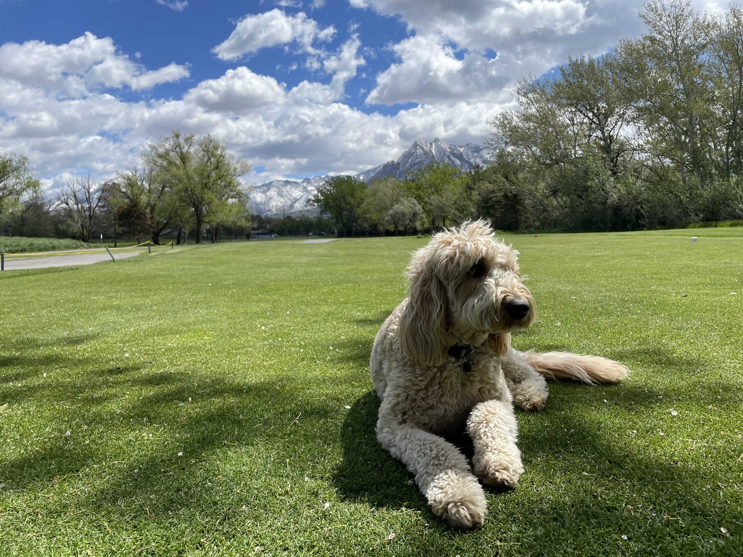 Dave Badger Test - Bookt - Hotel Sales and Marketing Solutions